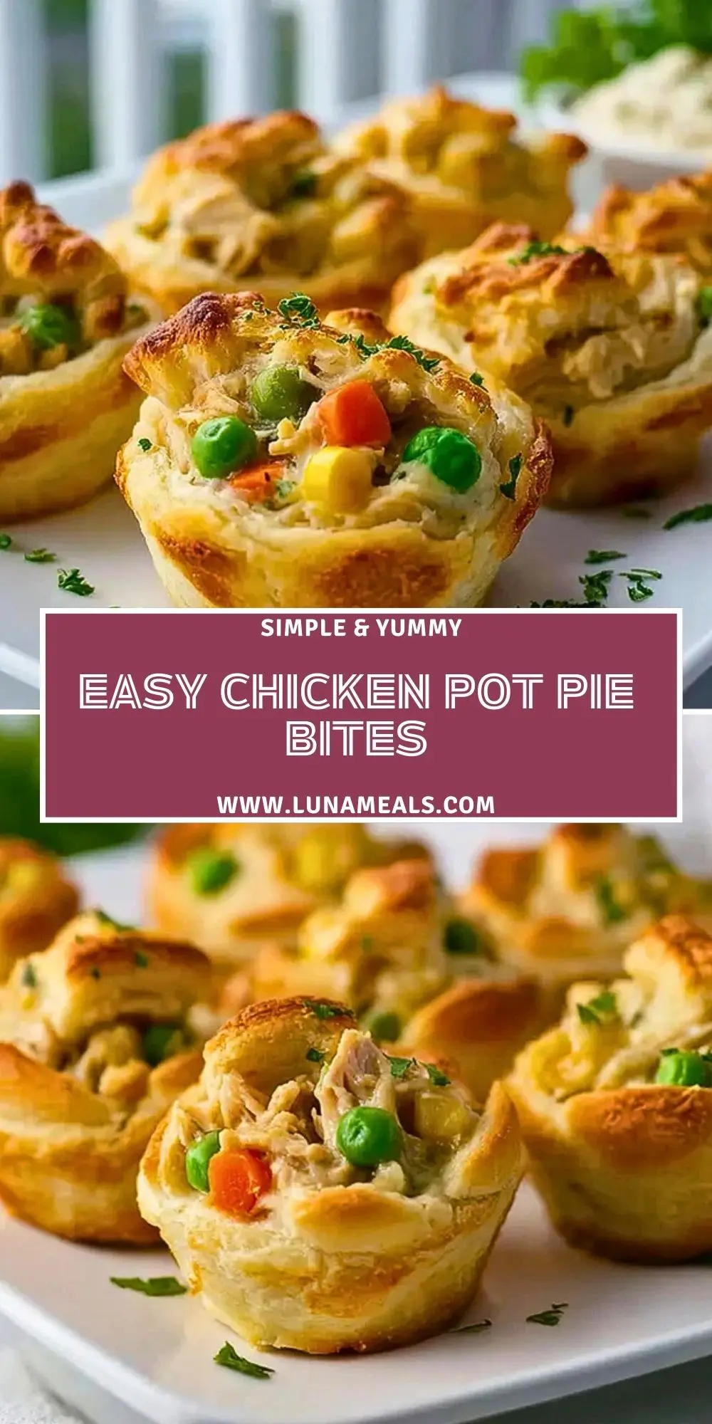 Easy Chicken Pot Pie Bites